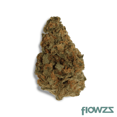 Top 10 Haze Sorten