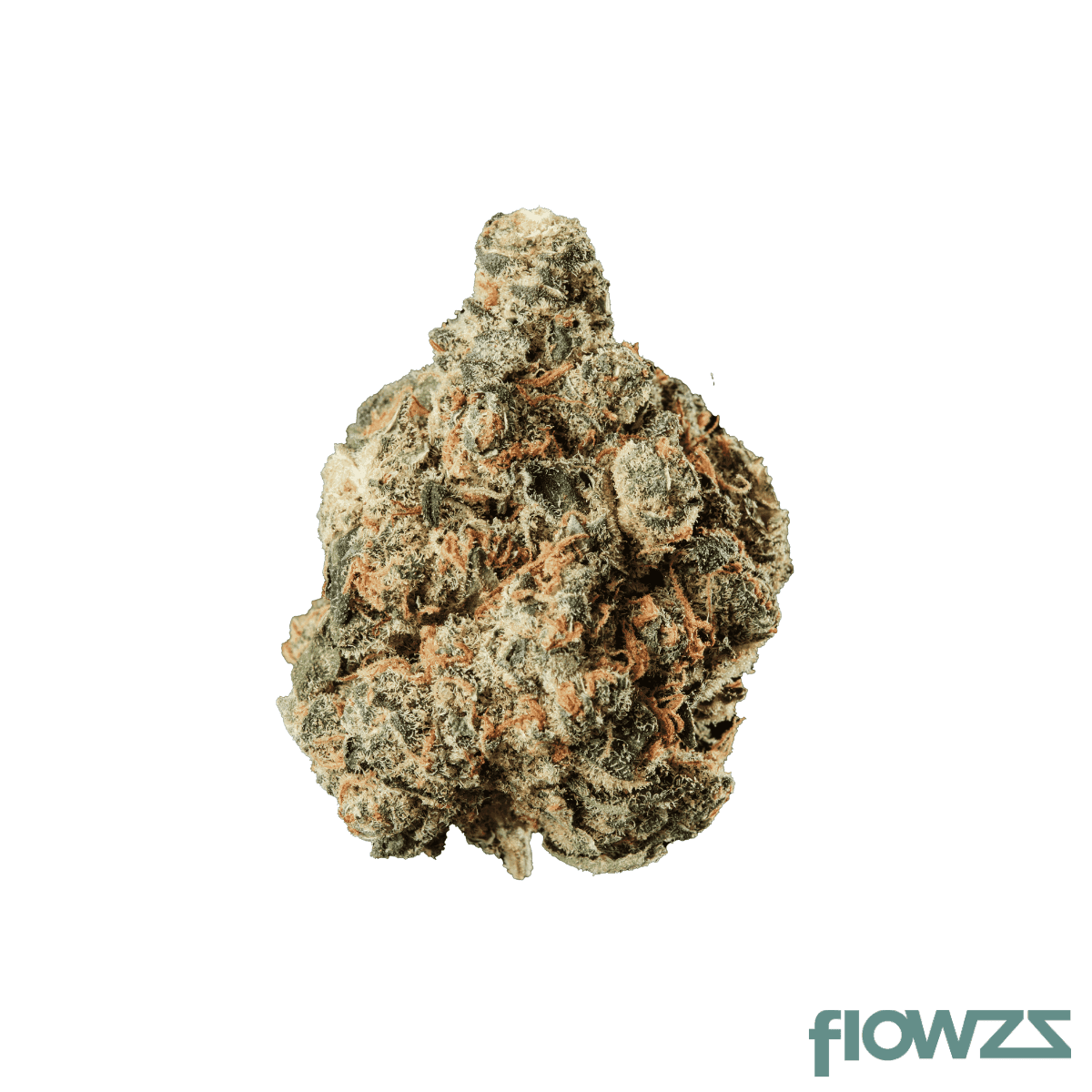 Huala 25/1 CA SCO Scoops zum besten Preis