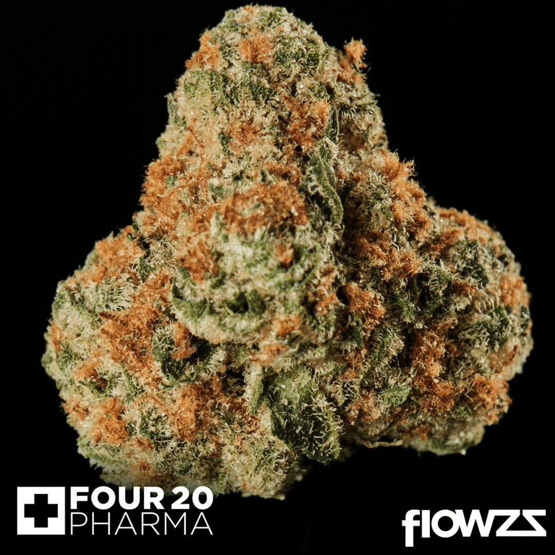 Huala 27/1 UK WTR Waffle Truffle zum besten Preis