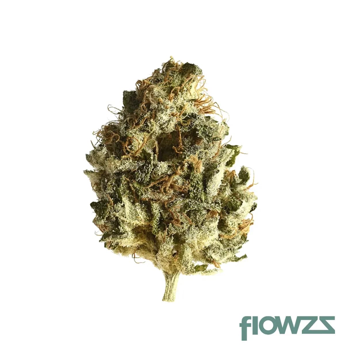 Remexian 20/1 GJY CHO Chocolate Kush zum besten Preis